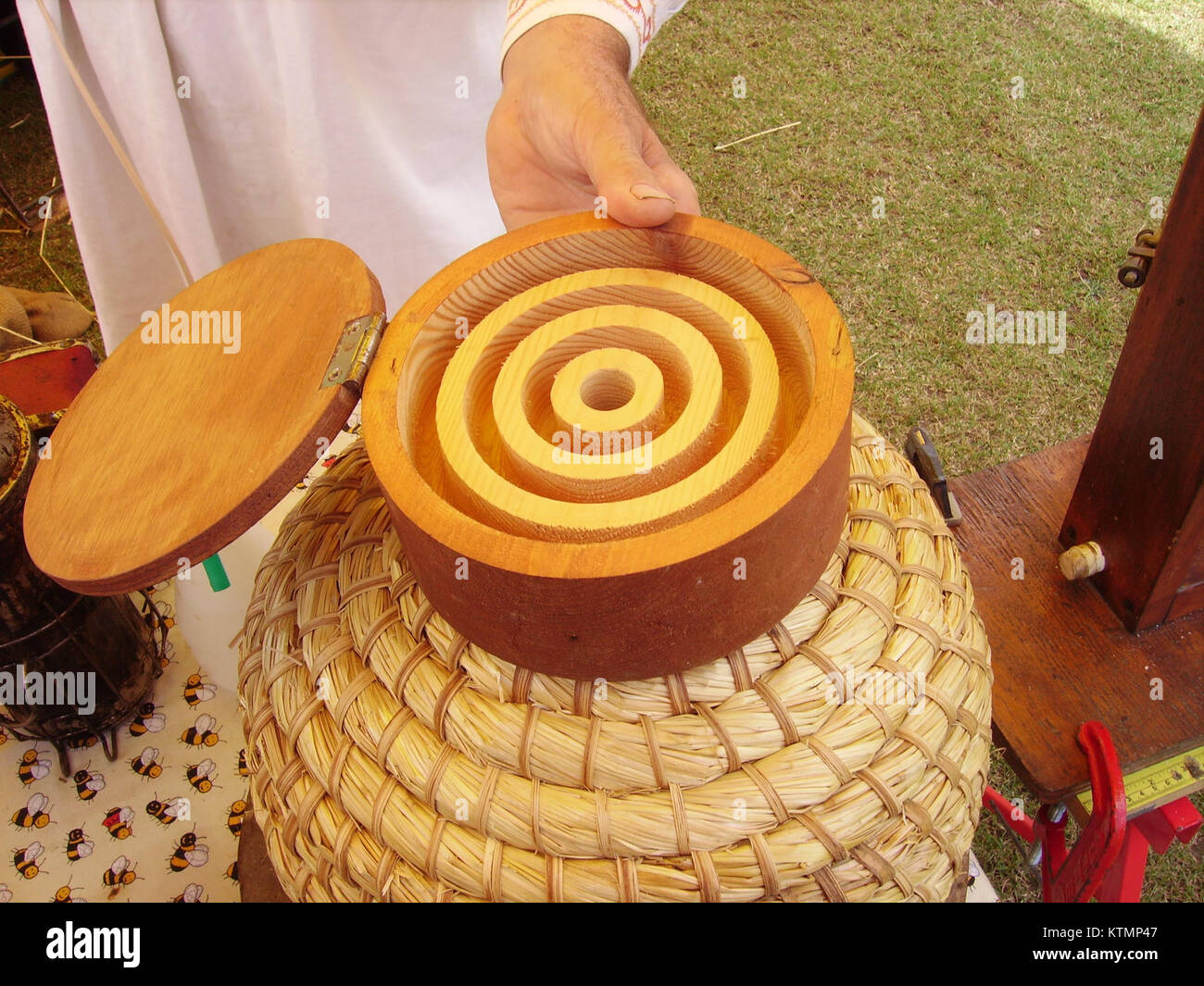 This image shows a detailed representation of a bee feeder, used in ...