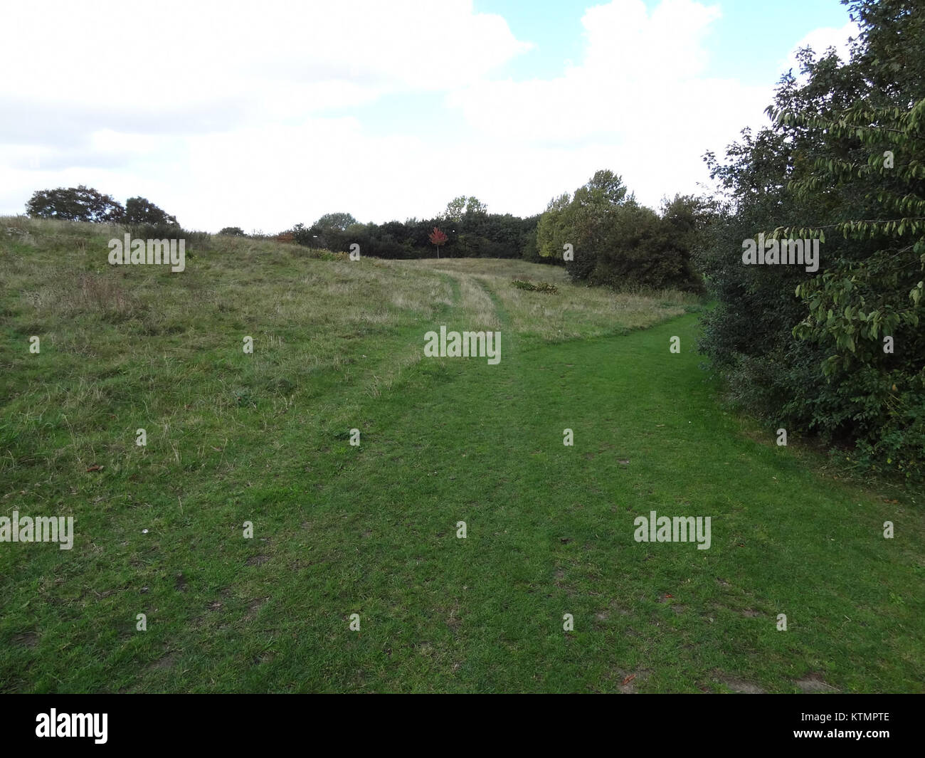 Beckton Park High Resolution Stock Photography and Images - Alamy