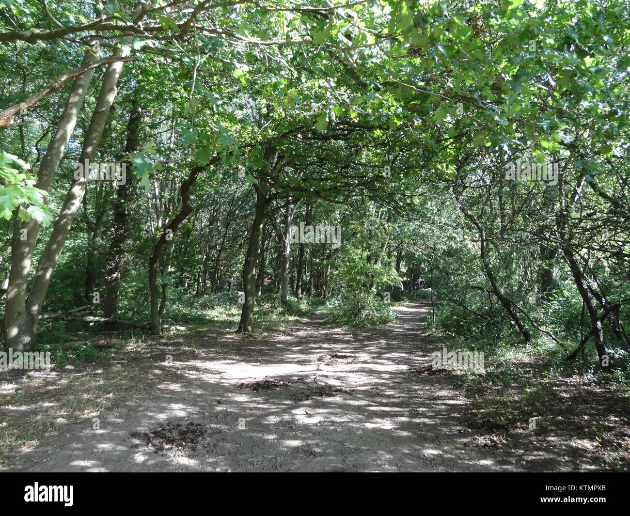 Raf bentley priory museum hi-res stock photography and images - Alamy