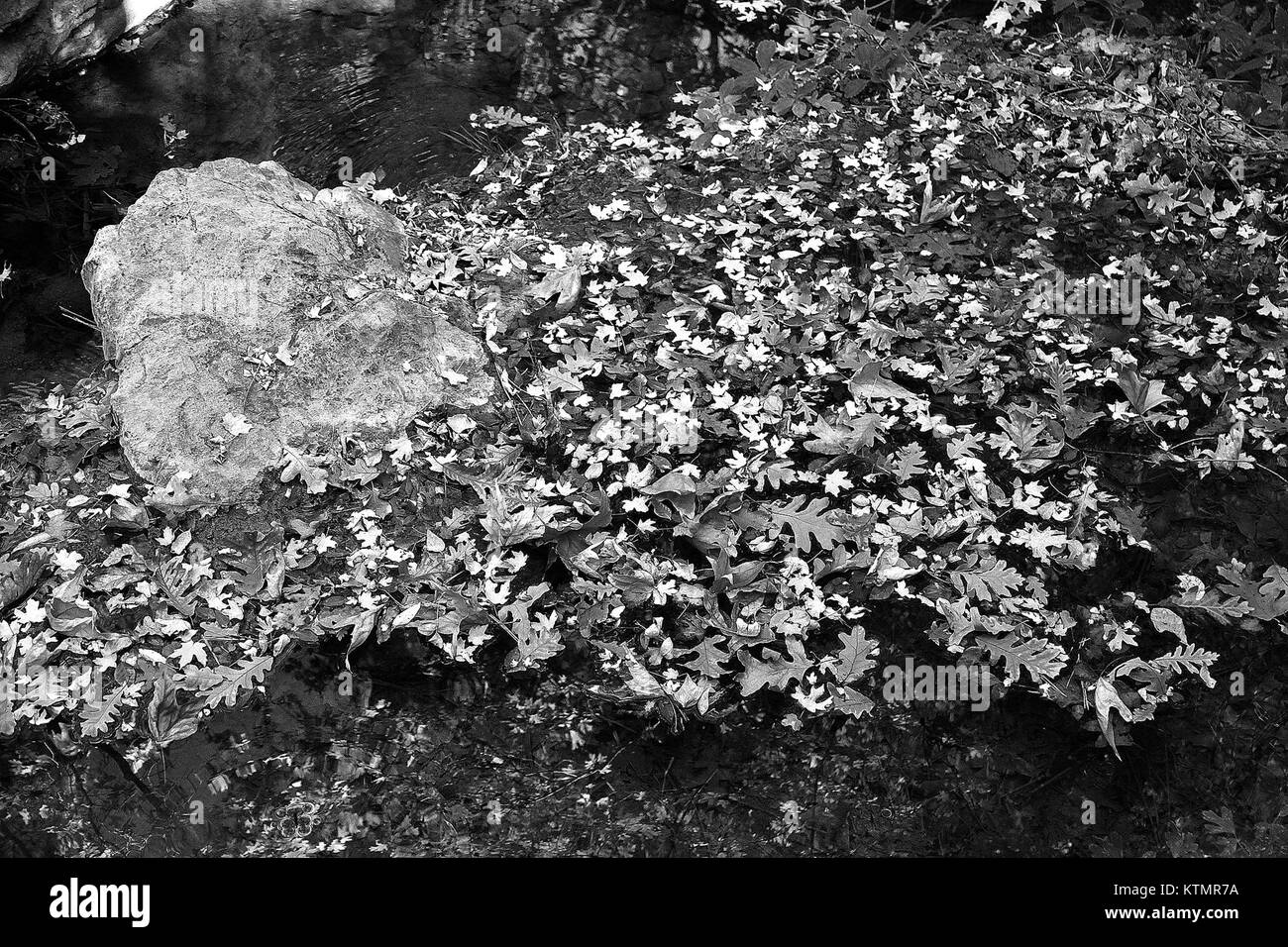This image of the Huachuca Mountains in Arizona, specifically Garden ...