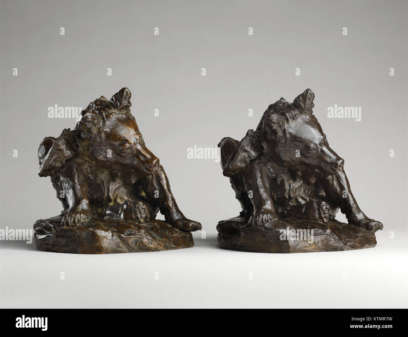 Bear Cub Grooming MET DP139314 Stock Photo - Alamy