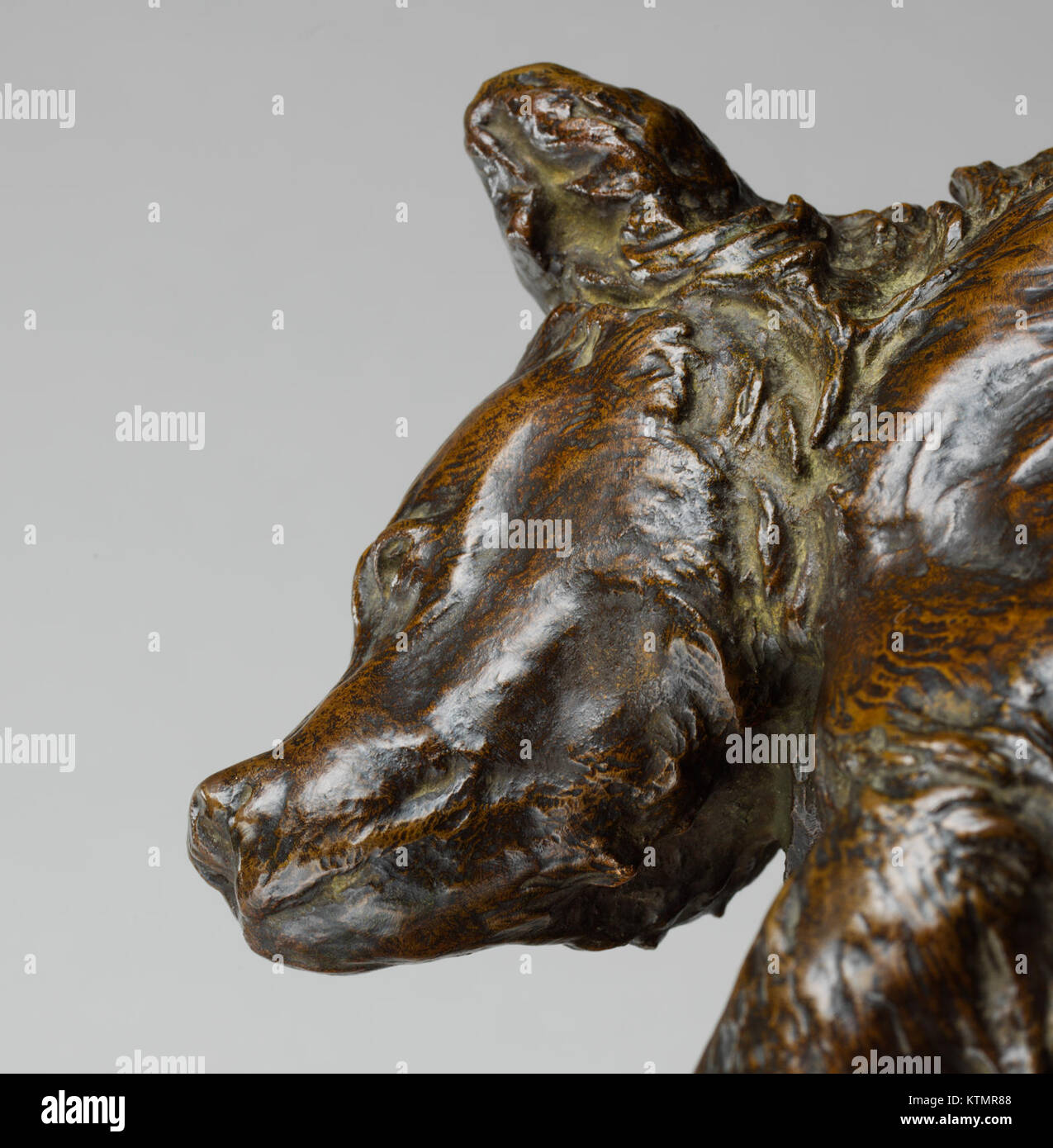 Bear Cub Grooming MET DP139311 Stock Photo - Alamy