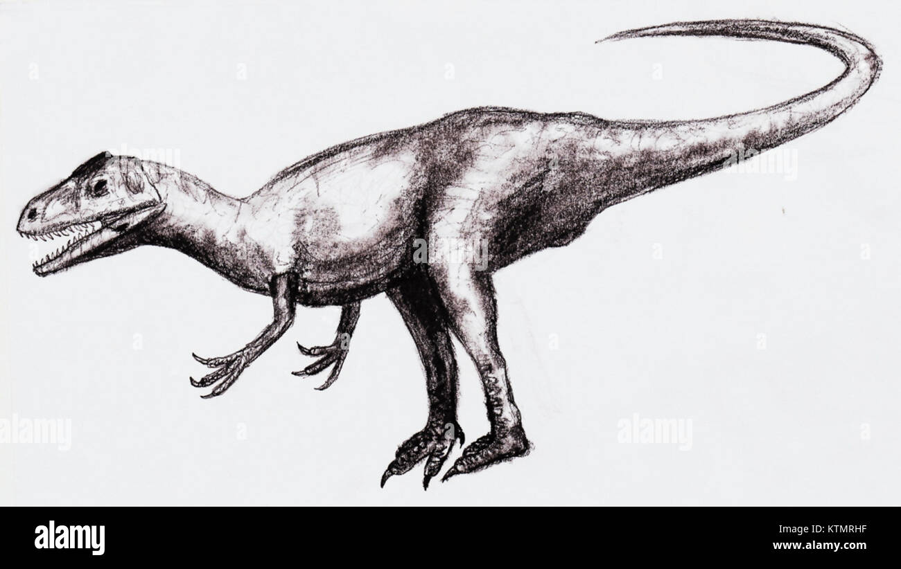 Indicative fossils hi-res stock photography and images - Alamy