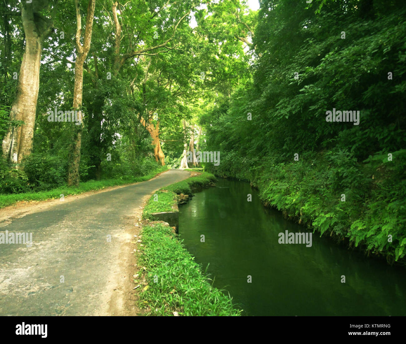 Balangoda lake view Stock Photo - Alamy