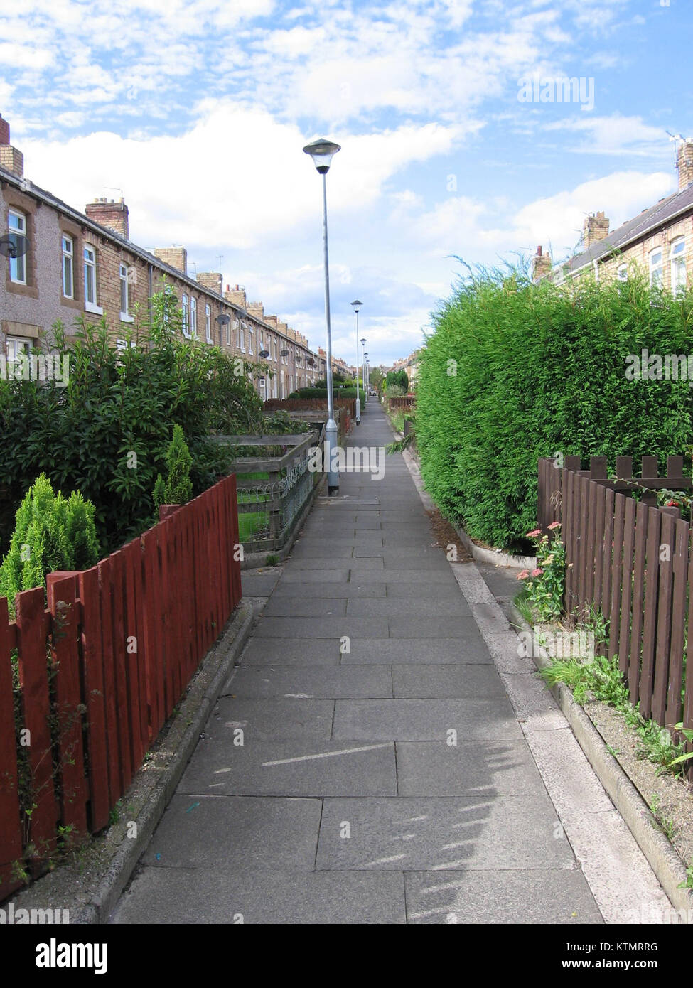 This photograph shows the backs of colliery rows in Ashington, England ...