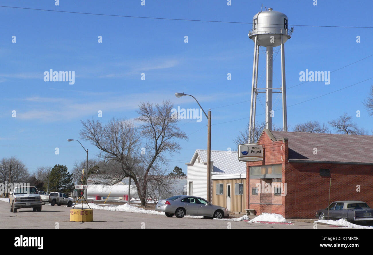 This photograph shows a bee captured in downtown Nebraska. The image ...