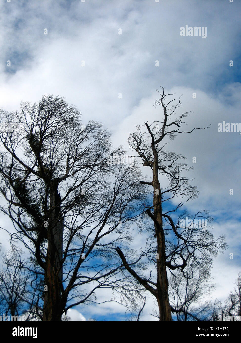 Bad forest fires here (1576663345 Stock Photo - Alamy