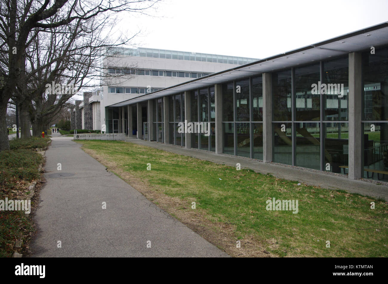 Beaty Biodiversity Museum Stock Photos & Beaty Biodiversity Museum ...