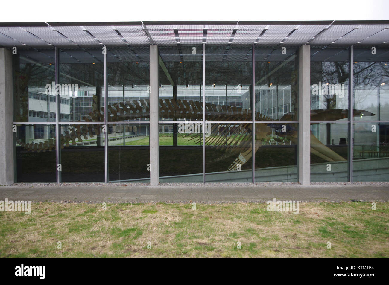 Beaty Biodiversity Museum Stock Photos & Beaty Biodiversity Museum ...