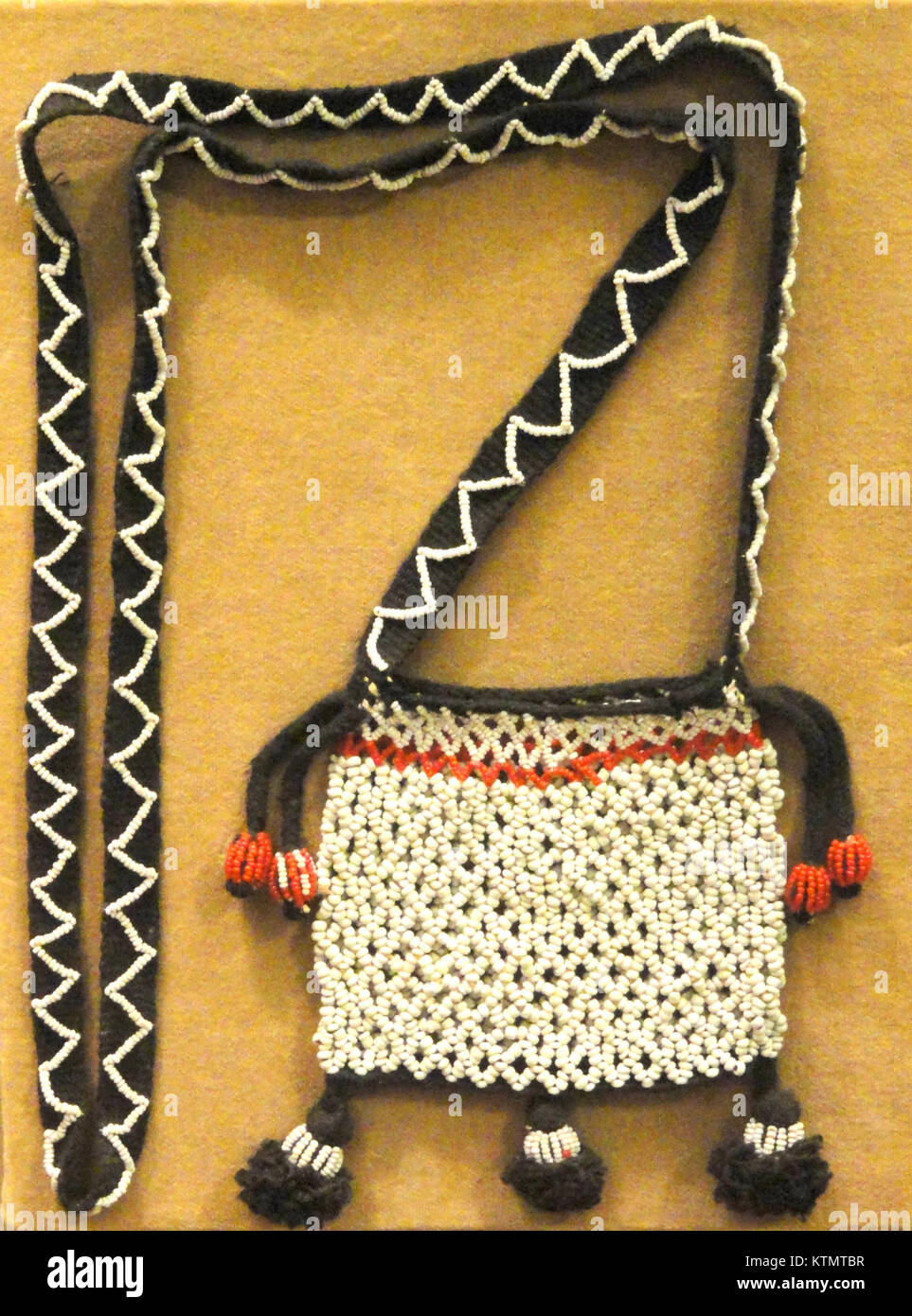 South american natural history hi-res stock photography and images - Alamy