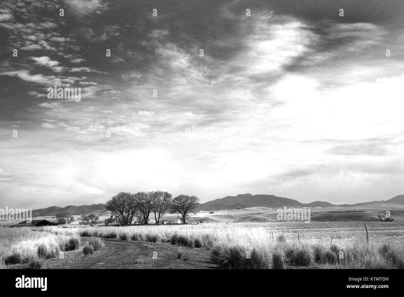 Natural supports Black and White Stock Photos & Images - Alamy