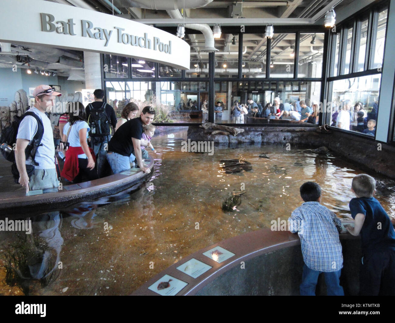 Ray touch pool hi-res stock photography and images - Alamy
