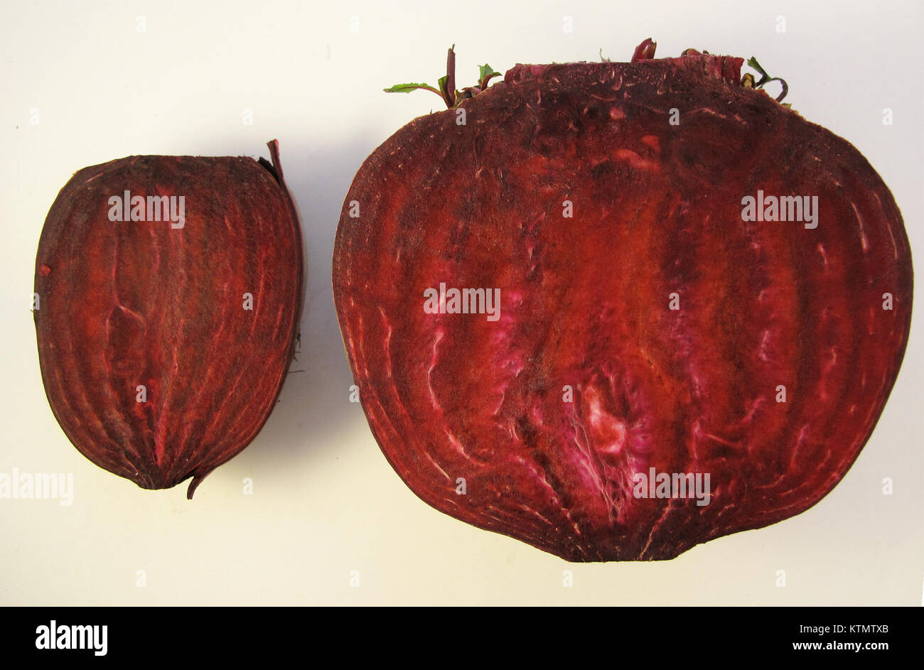 Beetroot before bolting refers to the stage in the plant's growth ...