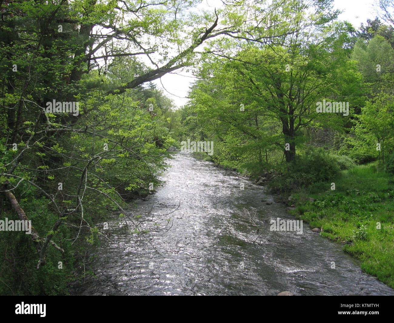 Bantam River 087 Stock Photo - Alamy