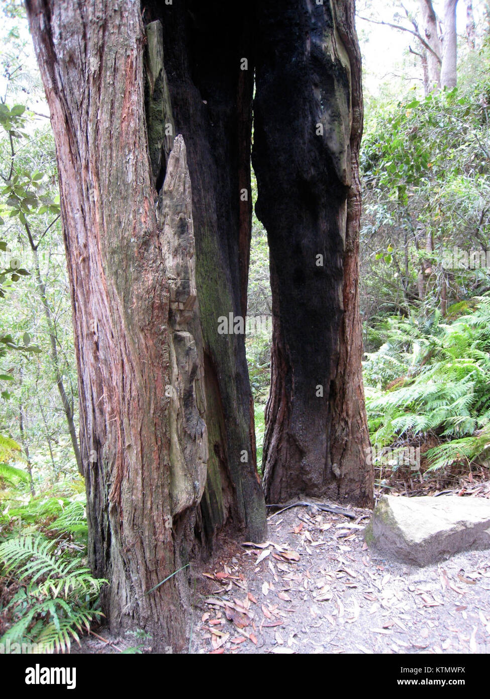 Aussie history hi-res stock photography and images - Alamy