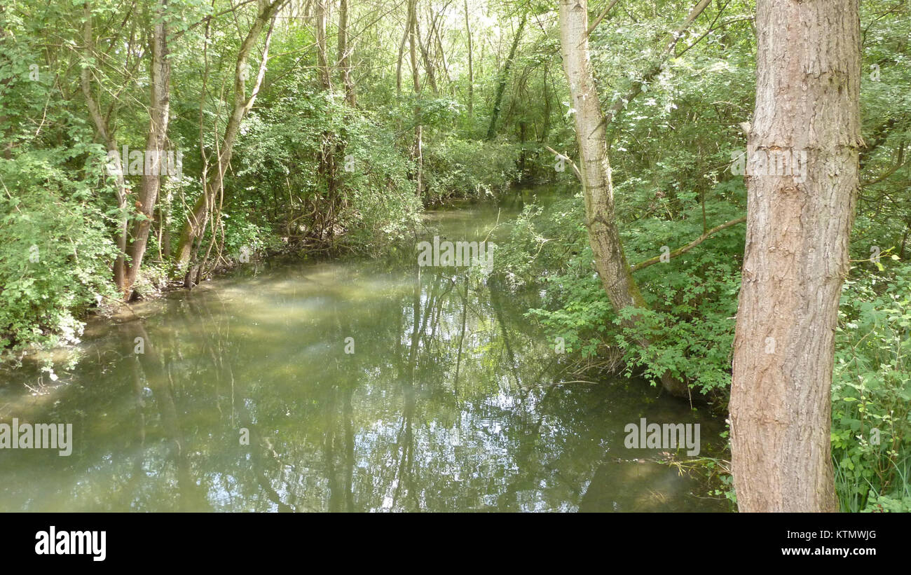 Bauerngrundwasser hi-res stock photography and images - Alamy
