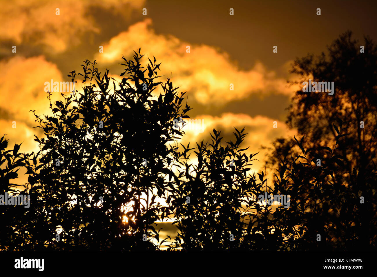 The midnight sun is a natural phenomenon occurring in the Arctic and ...