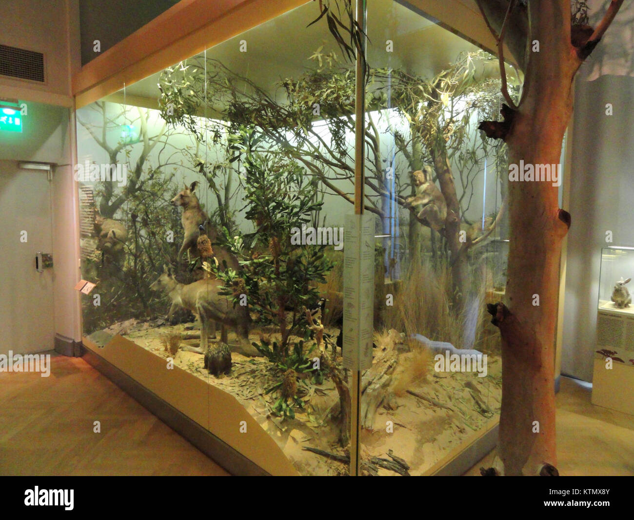 The Australian exhibit at the Finnish Museum of Natural History ...