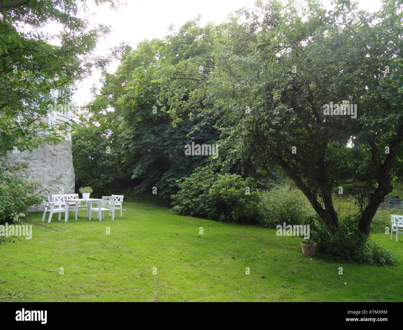 Cygnaeus gallery hi-res stock photography and images - Alamy