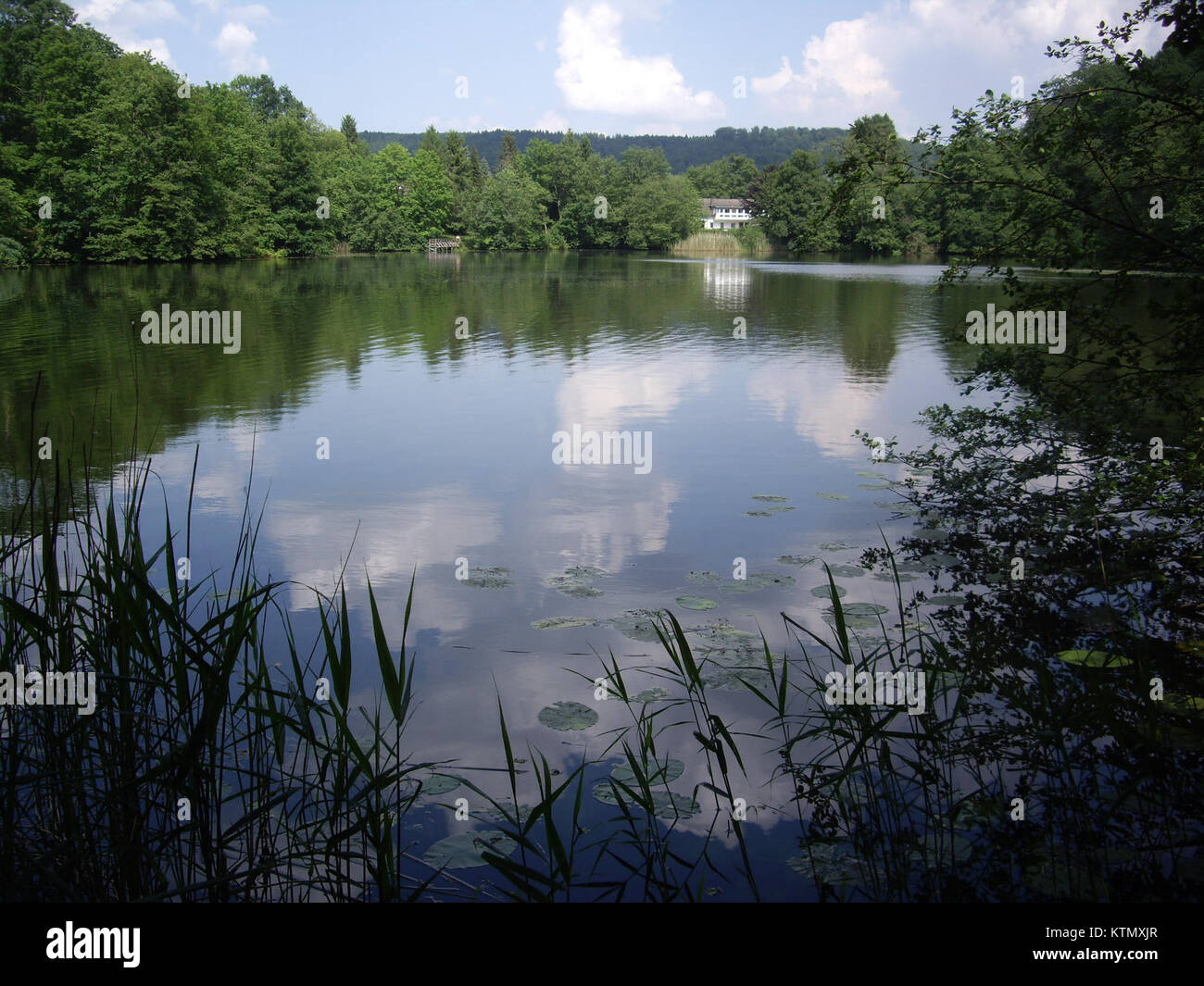This photograph captures the serene beauty of Bergsee, a lake located ...