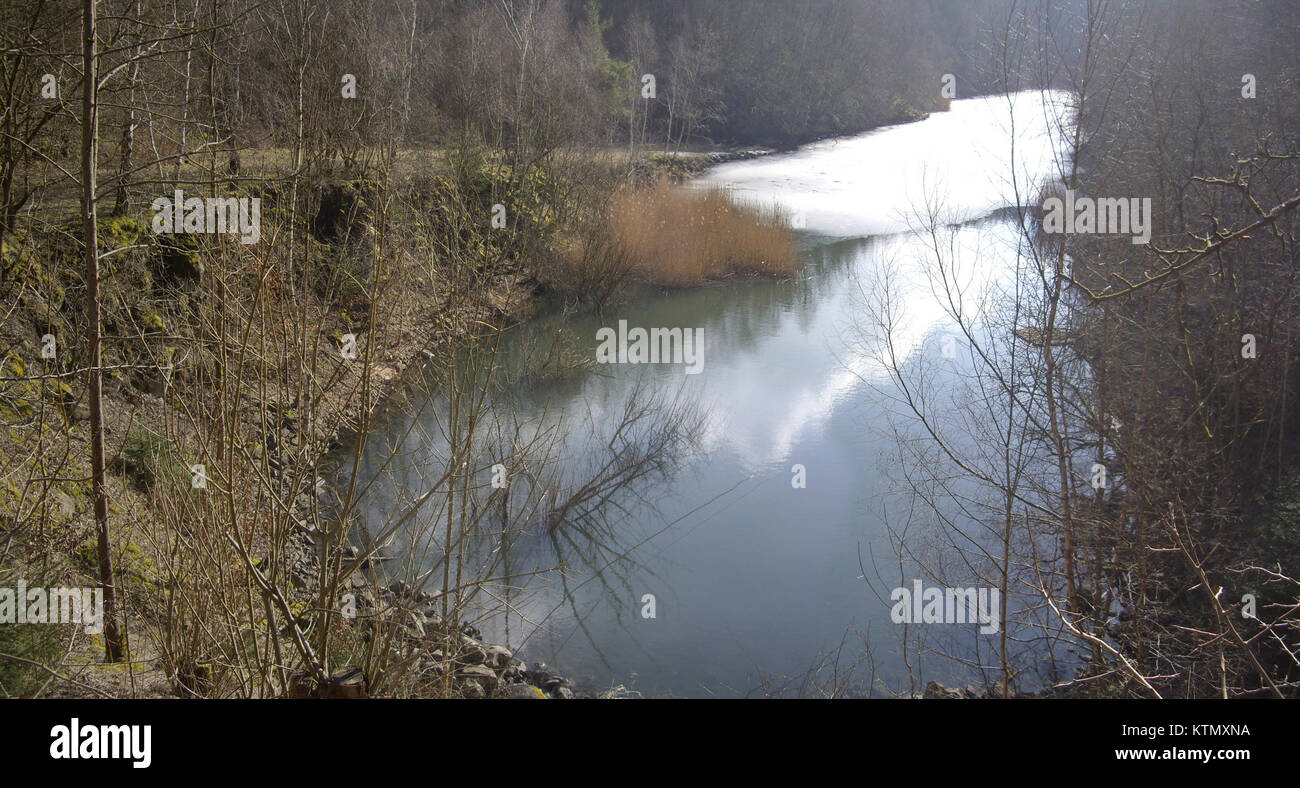 A photograph capturing the serene landscape of Backenberger See, a lake ...