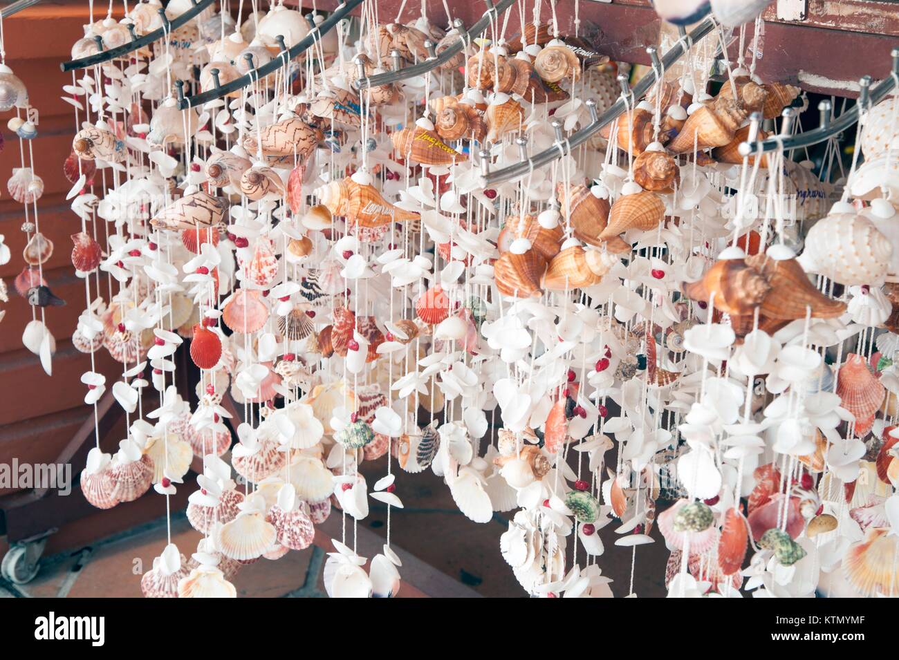 Beautiful seashells mobile, mobile made from variety shells Stock Photo ...