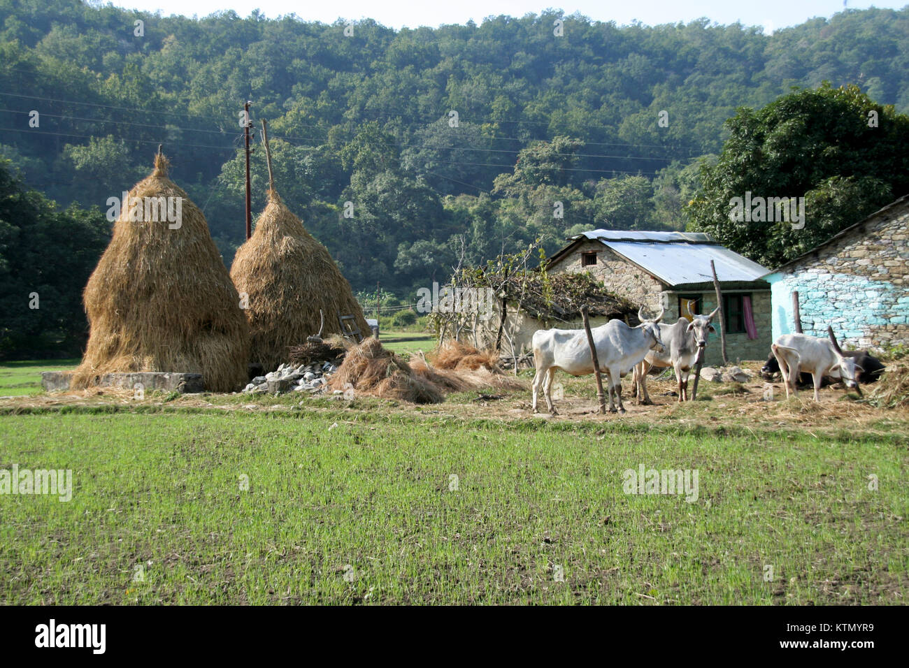 Village setting hi-res stock photography and images - Alamy