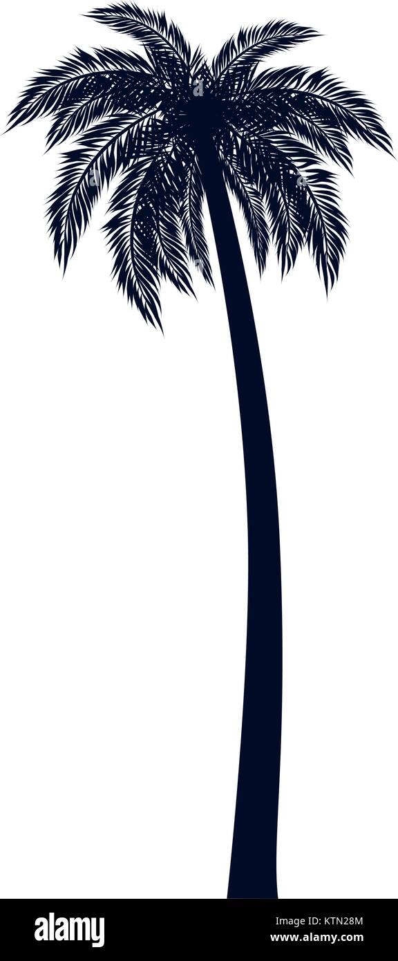 tropical palm tree icon vector illustration design Stock Vector Image ...