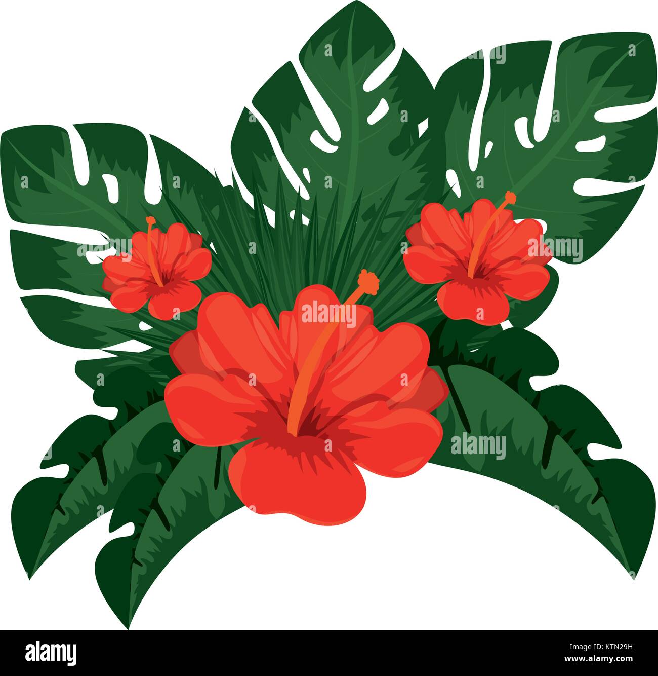exotic and tropical flower vector illustration design Stock Vector ...