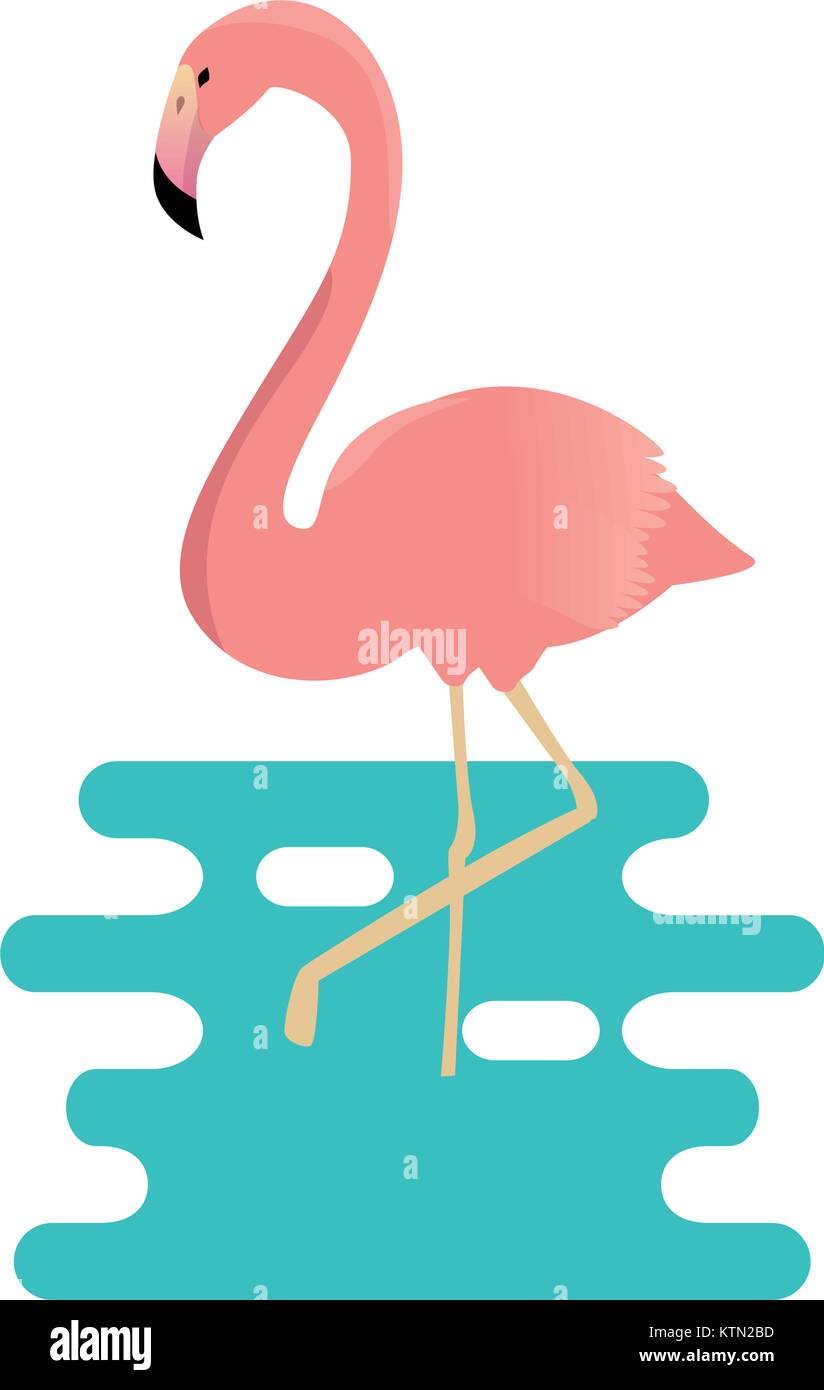 exotic bird flamingo with water vector illustration design Stock Vector ...