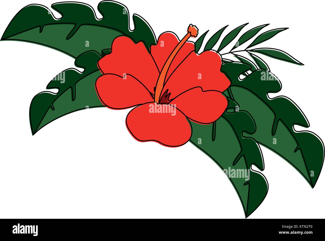 exotic and tropical flower vector illustration design Stock Vector ...