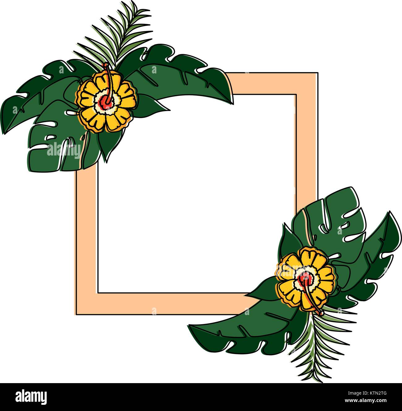 exotic and tropical flower frame vector illustration design Stock Vector Image & Art - Alamy