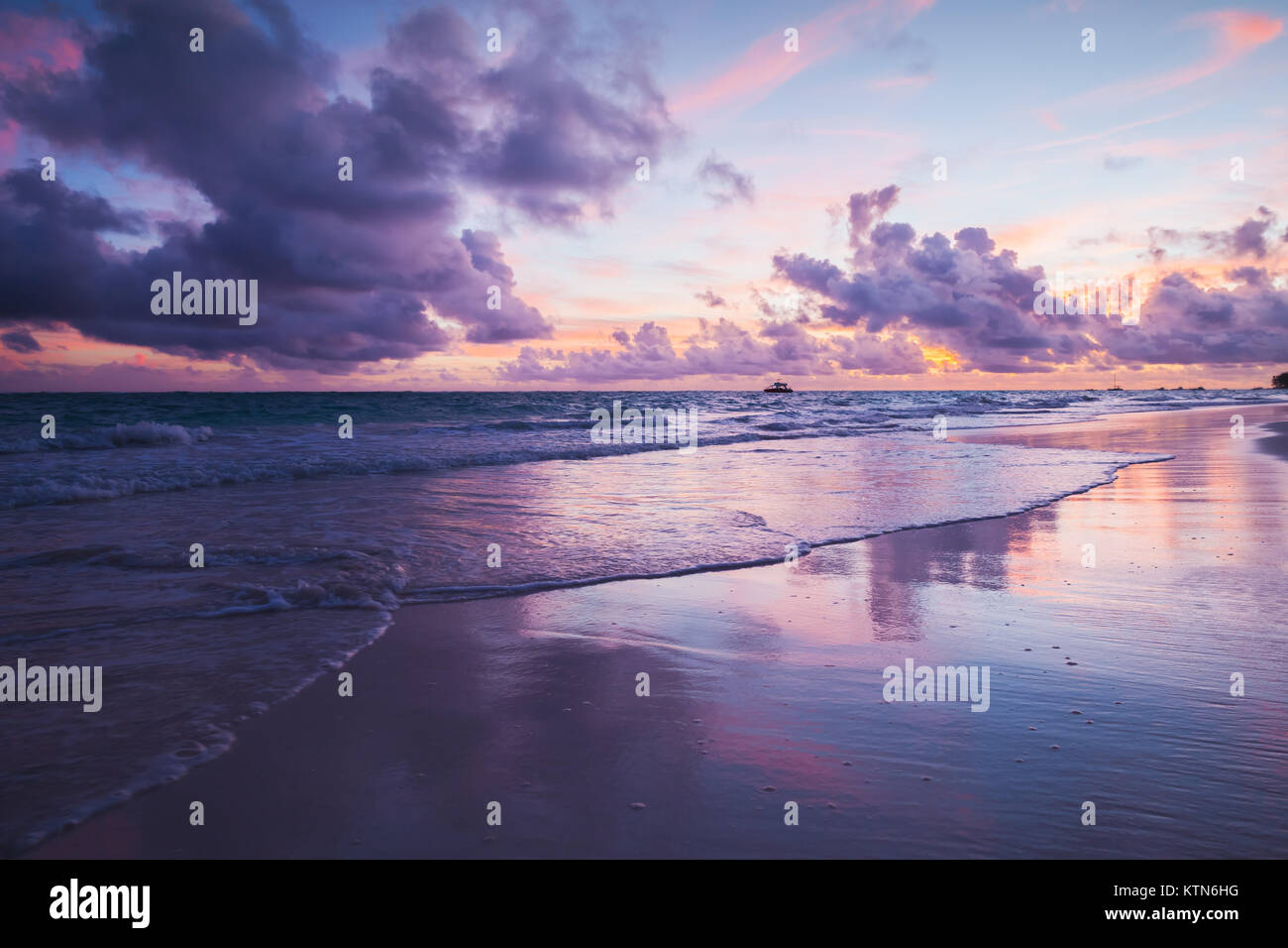 Coastal landscape in ultra violet tone. Atlantic Ocean coast, Bavaro ...