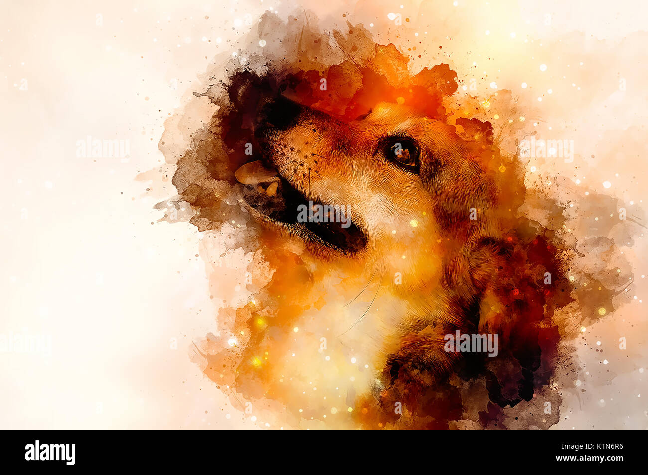 Dog and abstract background, Beautiful color spots structure Stock ...