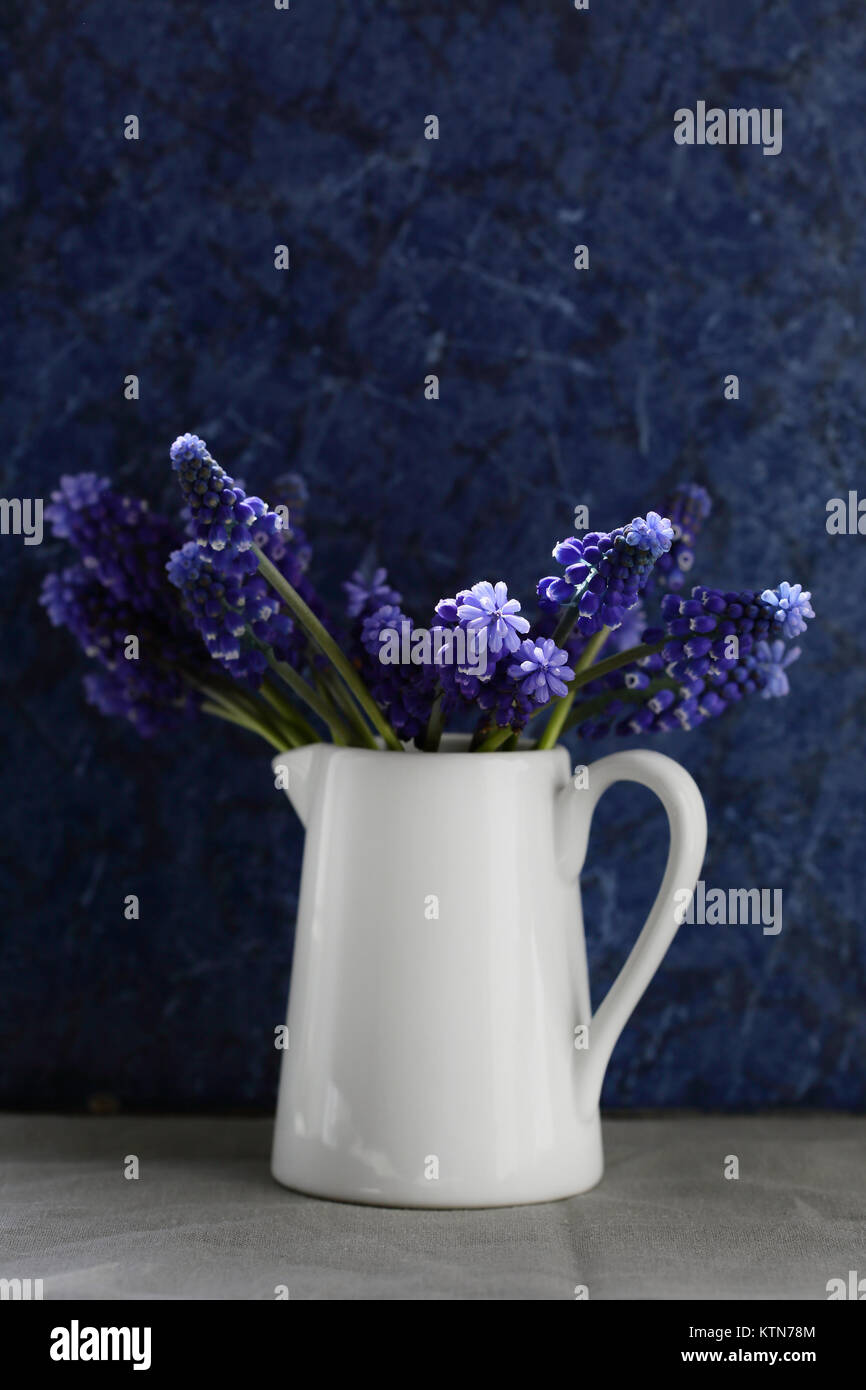 Spring blue flowers in white jug Stock Photo - Alamy