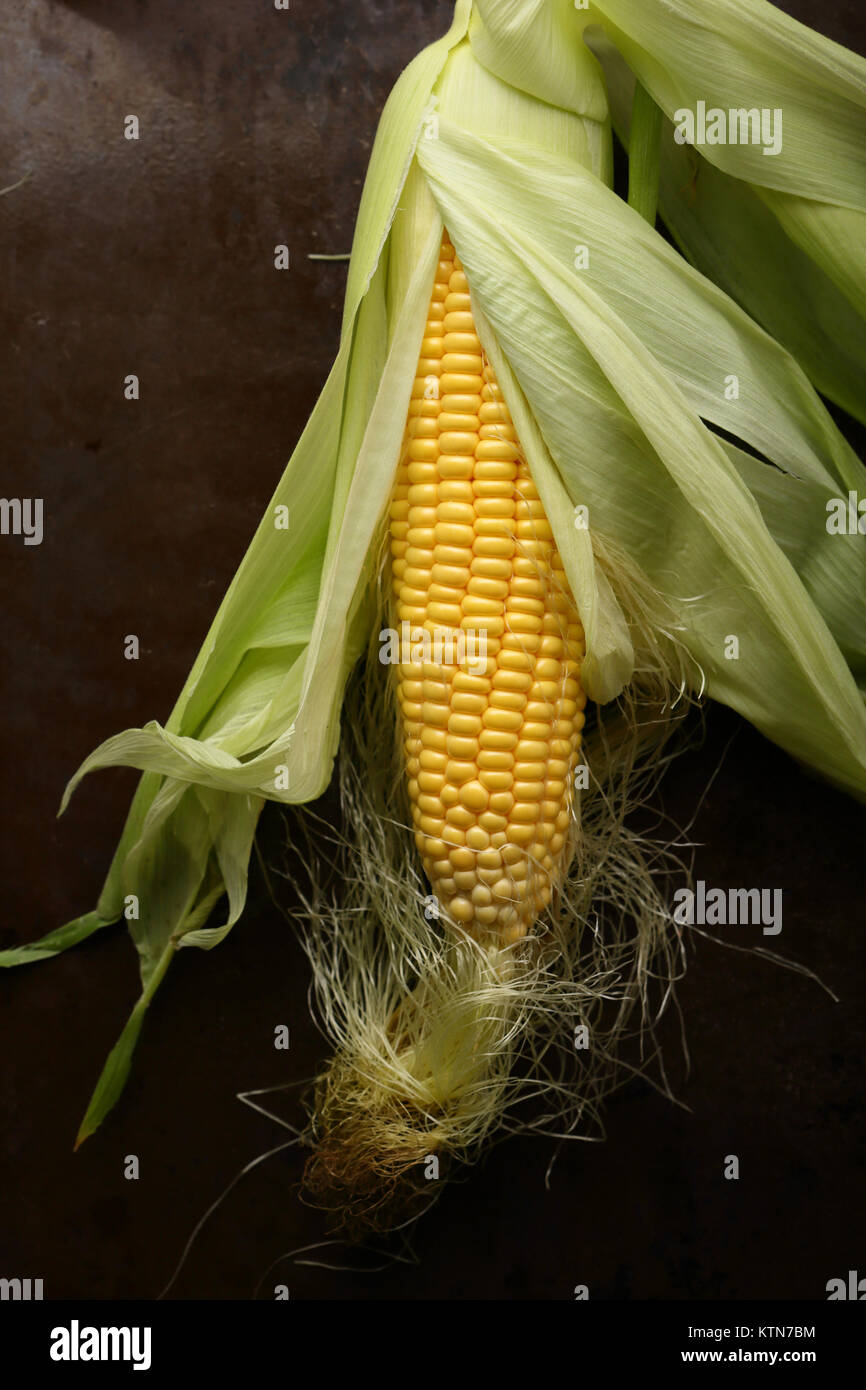 Raw Fresh corn cob on metal background Stock Photo - Alamy