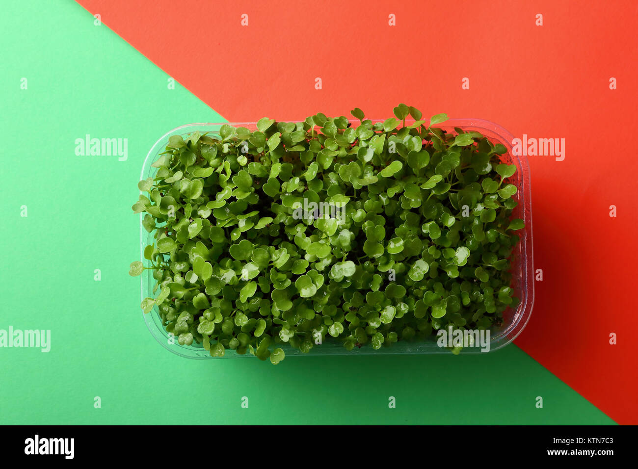 Young red radish microgreens hi-res stock photography and images - Alamy
