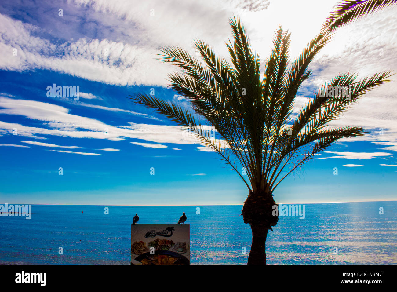 Beach. The best views of the beach in Marbella. Malaga province, Costa ...