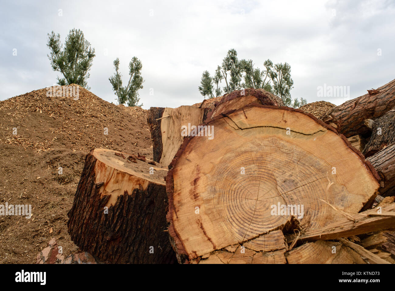Destroyed landscape hi-res stock photography and images - Alamy