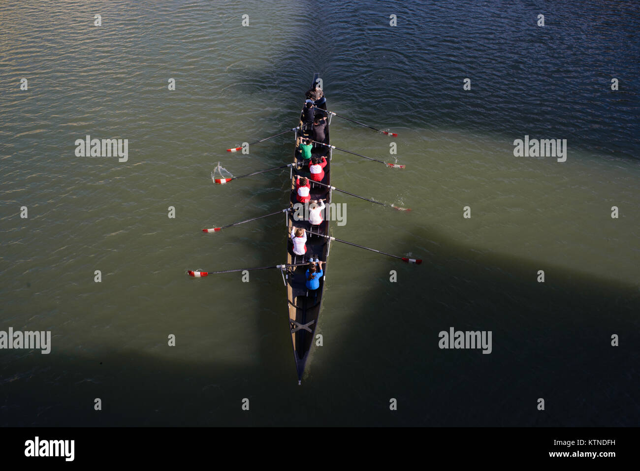 Top view scene of eight rowers rowing in the Arno river Stock Photo - Alamy