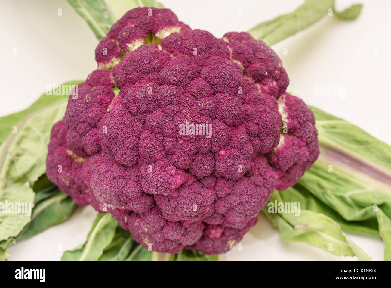 Purple Broccoli Vegan close-up macro Stock Photo - Alamy