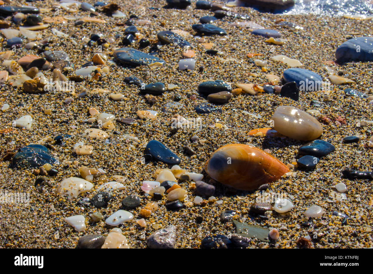 Beach, macro. Stones, seashells, sea shore. Marbella. Malaga province ...
