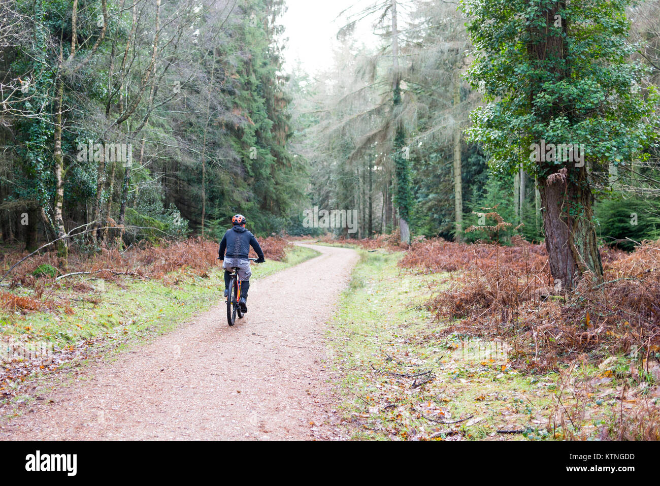 Cycling through hi-res stock photography and images - Alamy