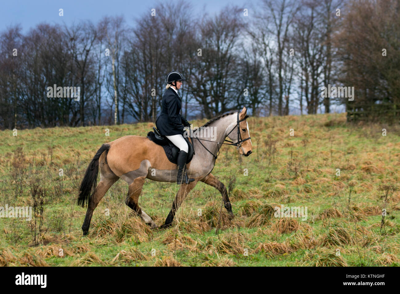 Rider hunts hi-res stock photography and images - Alamy