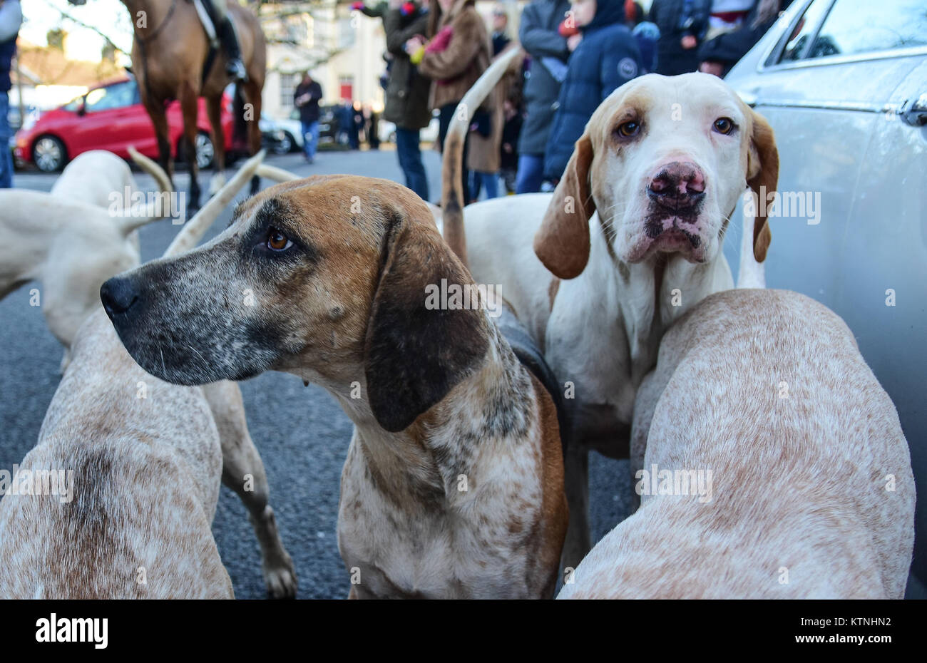 Moy, UK. 26th Dec, 2017. The South Tyrone Fox Hounds annual Boxing day ...