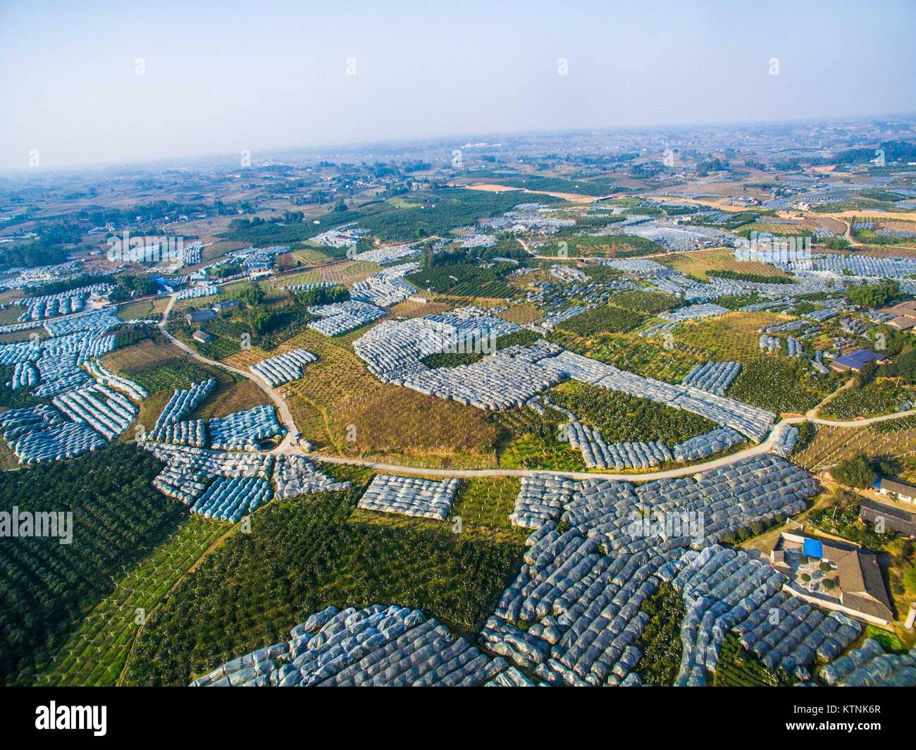 Chengdu, Chengdu, China. 22nd Dec, 2017. Chengdu, CHINA-22nd December ...