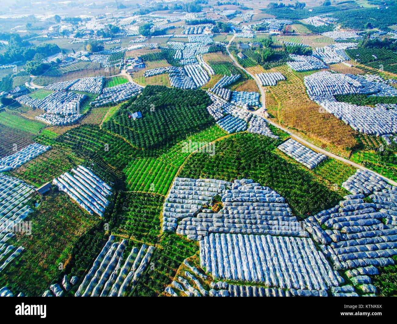 Chengdu, Chengdu, China. 22nd Dec, 2017. Chengdu, CHINA-22nd December ...