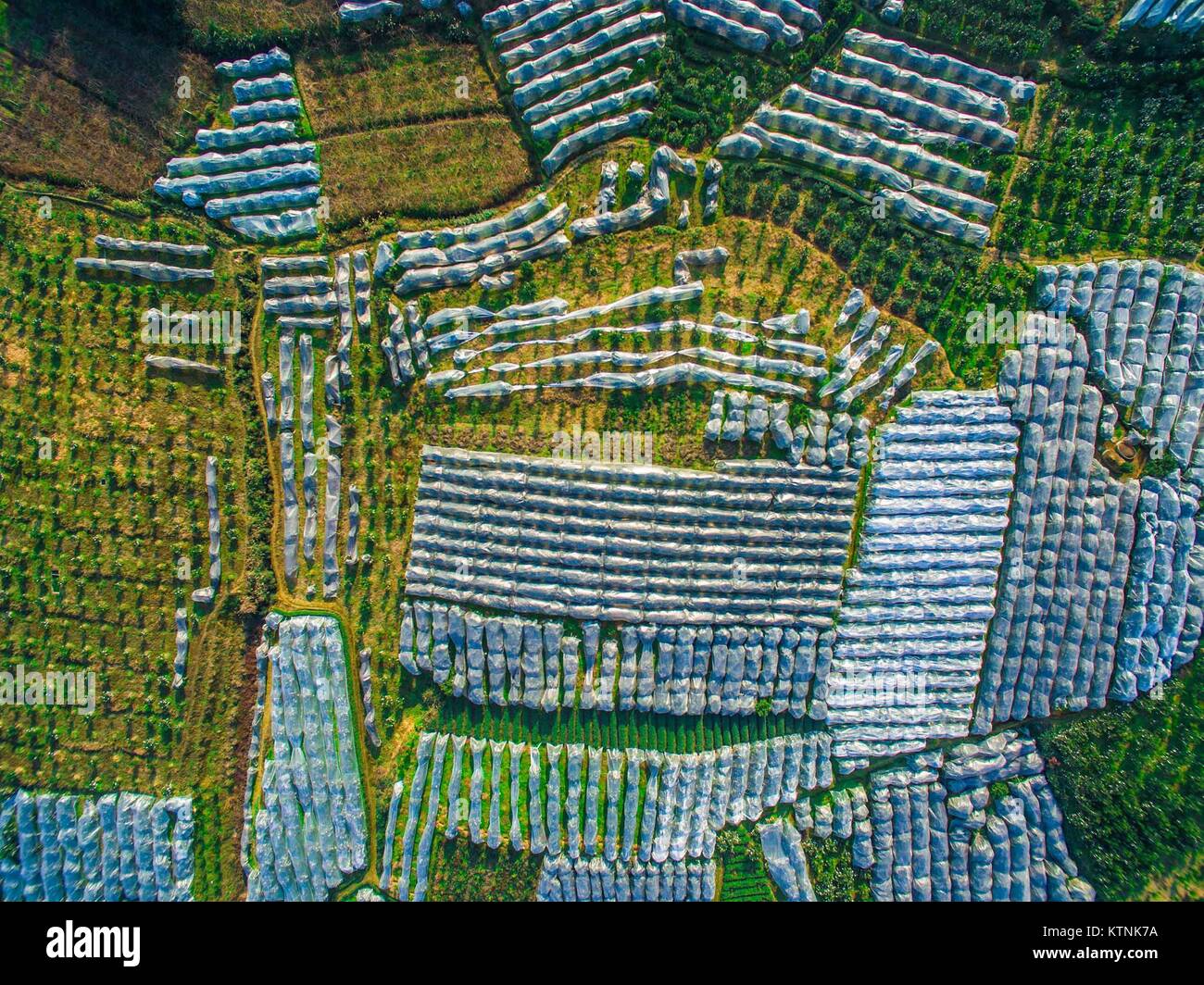 Chengdu, Chengdu, China. 22nd Dec, 2017. Chengdu, CHINA-22nd December ...