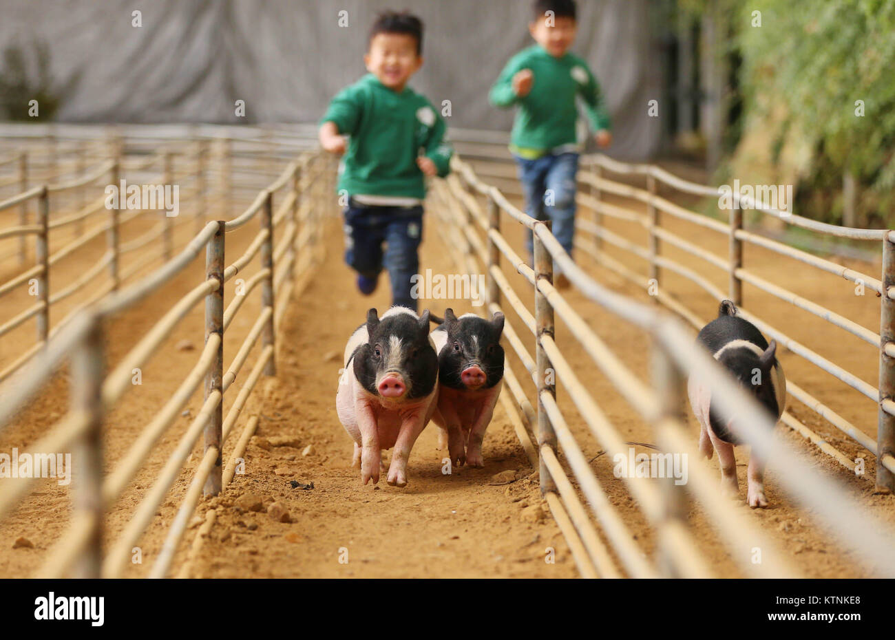 Love dalian hi-res stock photography and images - Alamy