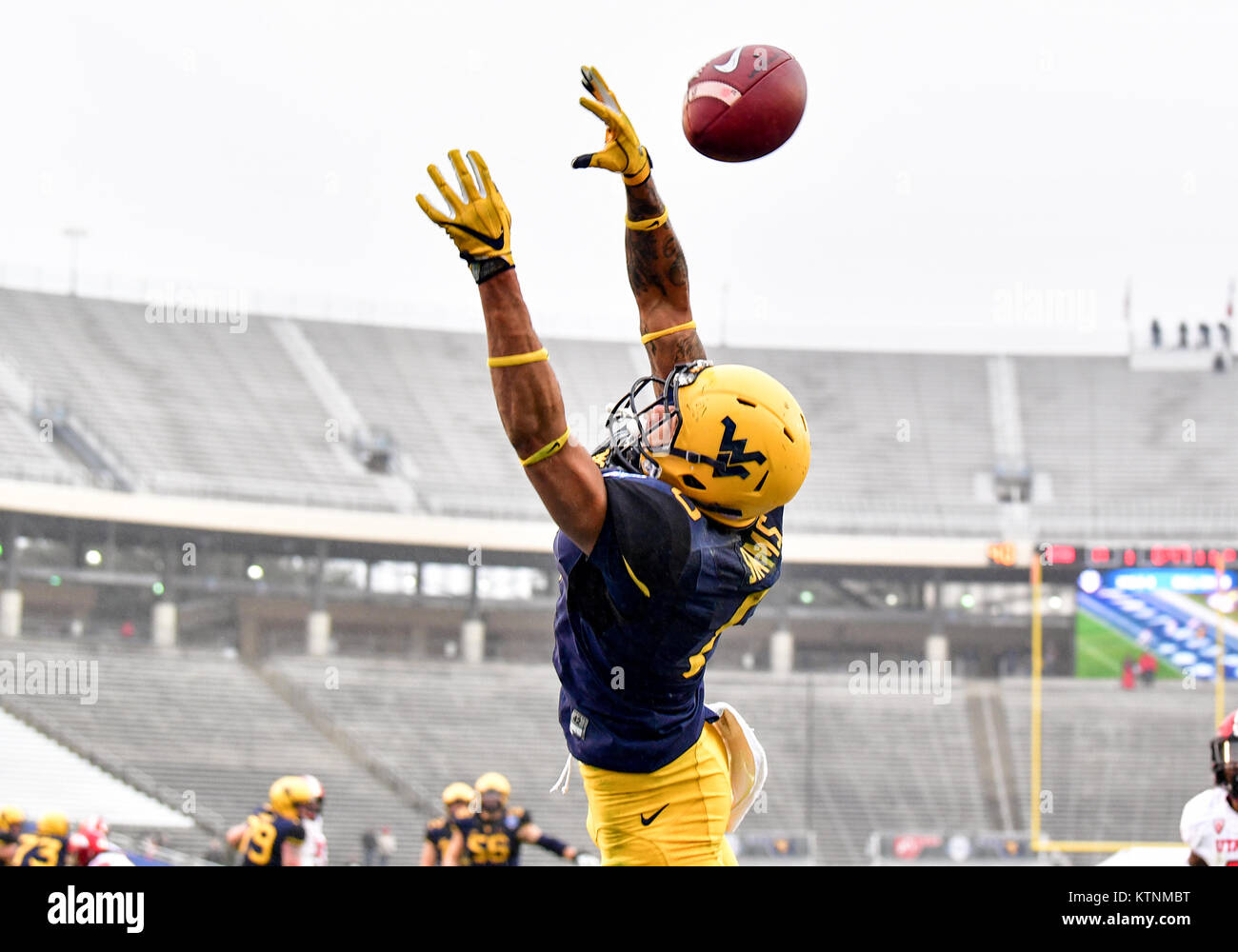 20171226mf 092 jpg hi-res stock photography and images - Alamy